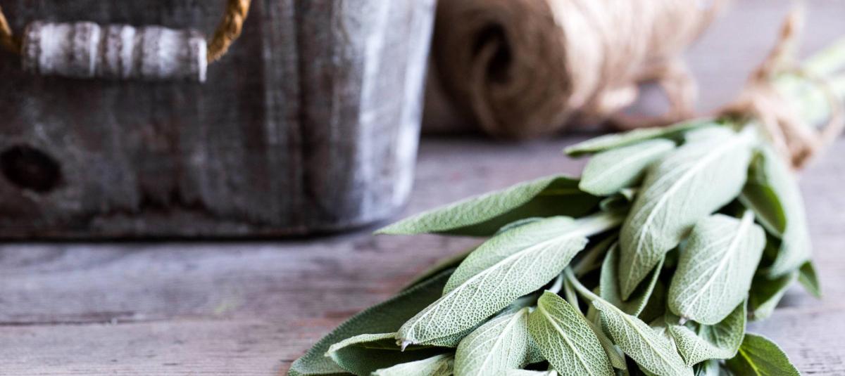 Los 6 beneficios del té de salvia para la salud, según expertos médicos