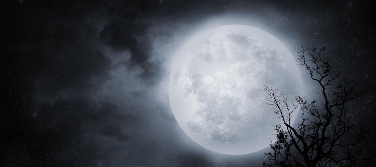 Luna Fría de diciembre 2024: rituales para aprovechar la última Luna ...