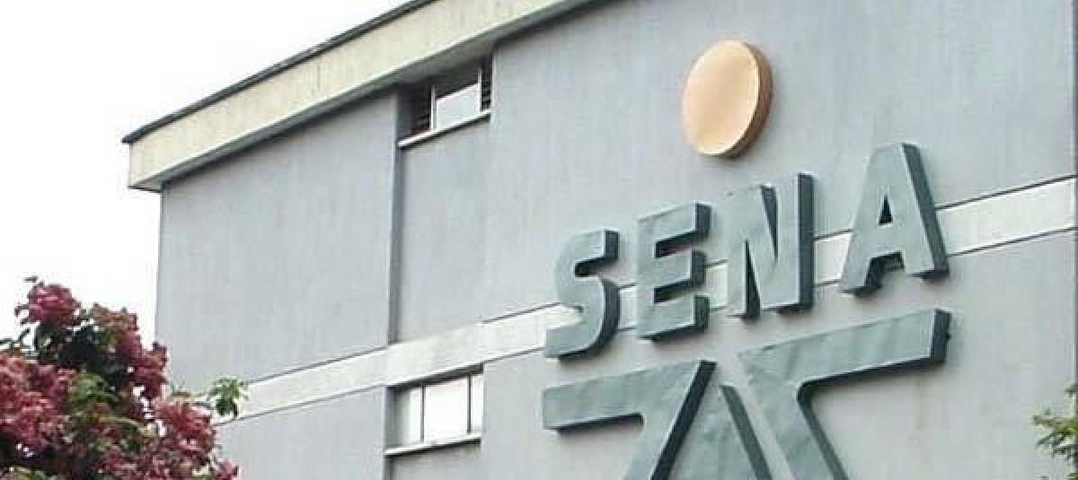 SENA ofrece cursos de programación: así puede inscribirse y estos son ...