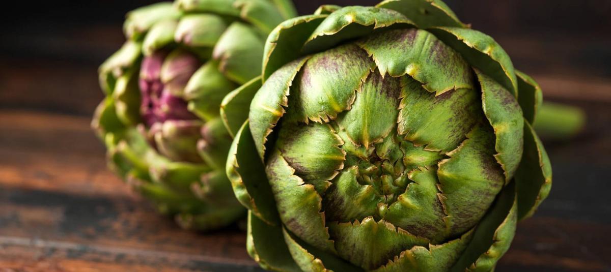 Hierbas amargas: ¿cuáles son y qué beneficios tienen al consumirlas?