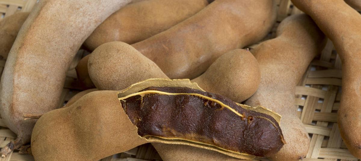 ¿Qué beneficios tiene el tamarindo para la salud?
