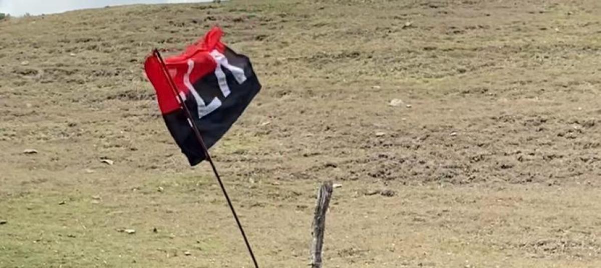 Ejército de Colombia: desmontan e incineran banderas alusivas al Eln