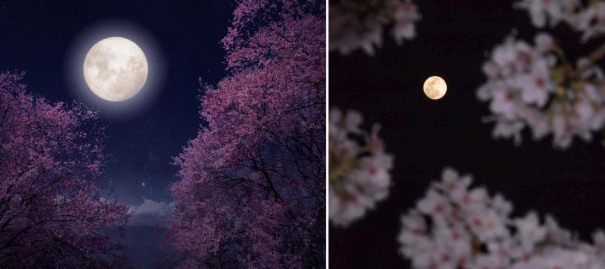 Luna de Flores 2025 en Colombia: cuándo será, qué significa y cómo ver ...