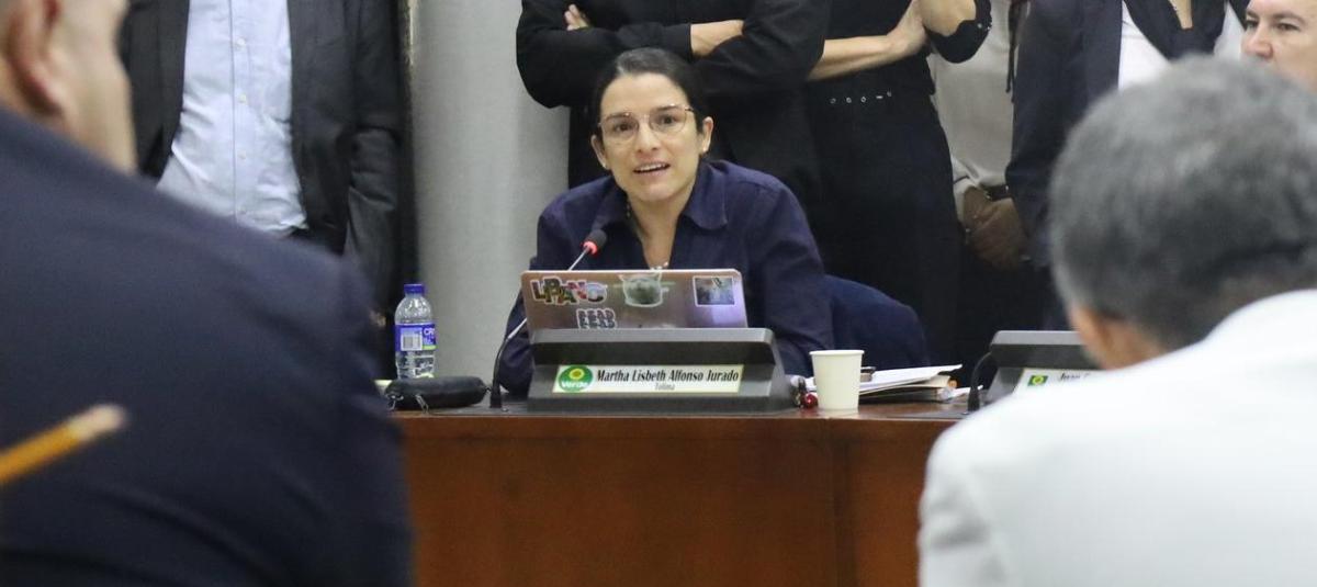 'Para que la reforma pensional no se hunda es necesario mantener los acuerdos': Martha Alfonso ...