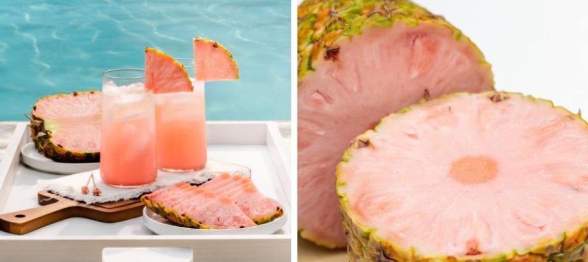 La piña rosada que solo crece en Costa Rica: ¿cuáles son sus beneficios ...