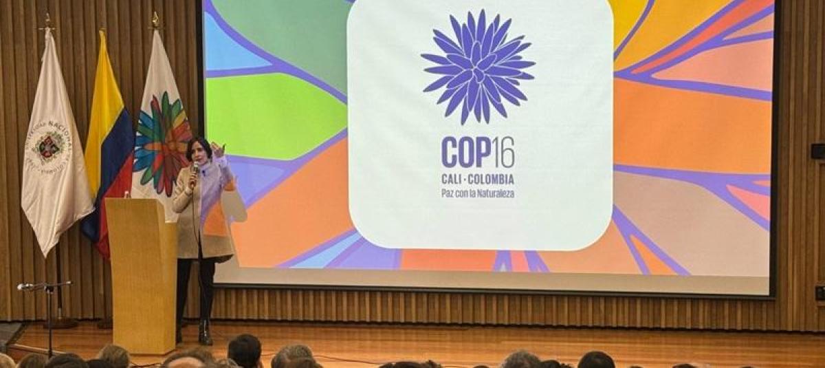 COP 16: ¿Qué se espera y qué significa para Colombia ser el anfitrión ...