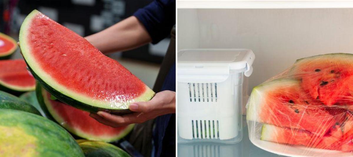 ¿Cuánto es lo máximo que puede durar una patilla cortada en la nevera ...