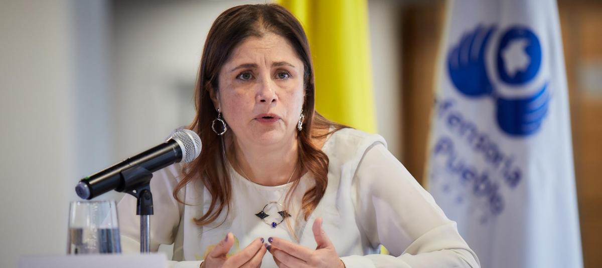 'Cada caso de este tipo es un fracaso como sociedad': defensora Iris ...
