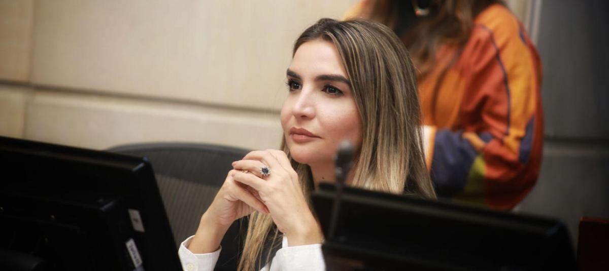 ‘Archivar la reforma laboral es un ejercicio técnico’: Nadia Blel ...