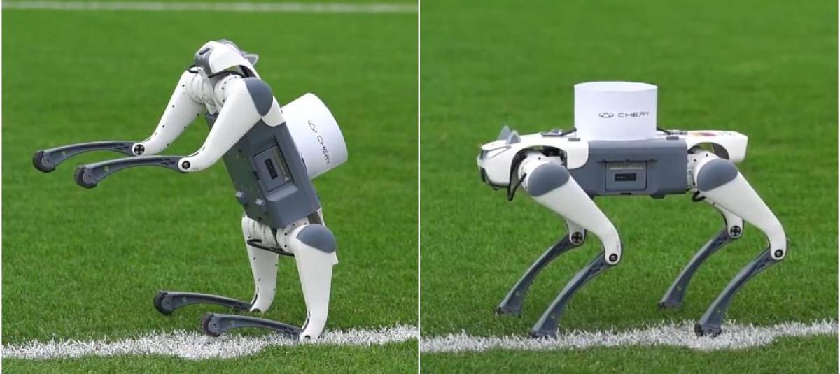 Video | Llega a Colombia 'Dory', el perro robot de Chery que integra ...