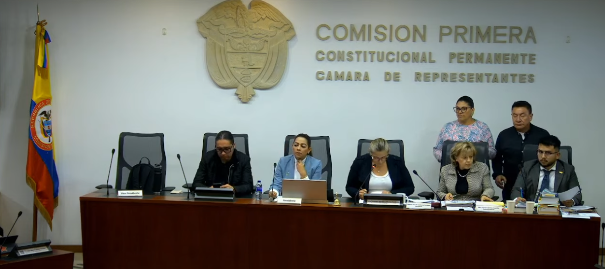 Fue aprobado en primer debate el proyecto de ley estatutaria que busca regular el acceso a la ...