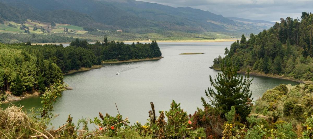 ¿Por qué no aumentan los niveles de embalses que abastecen de agua a ...