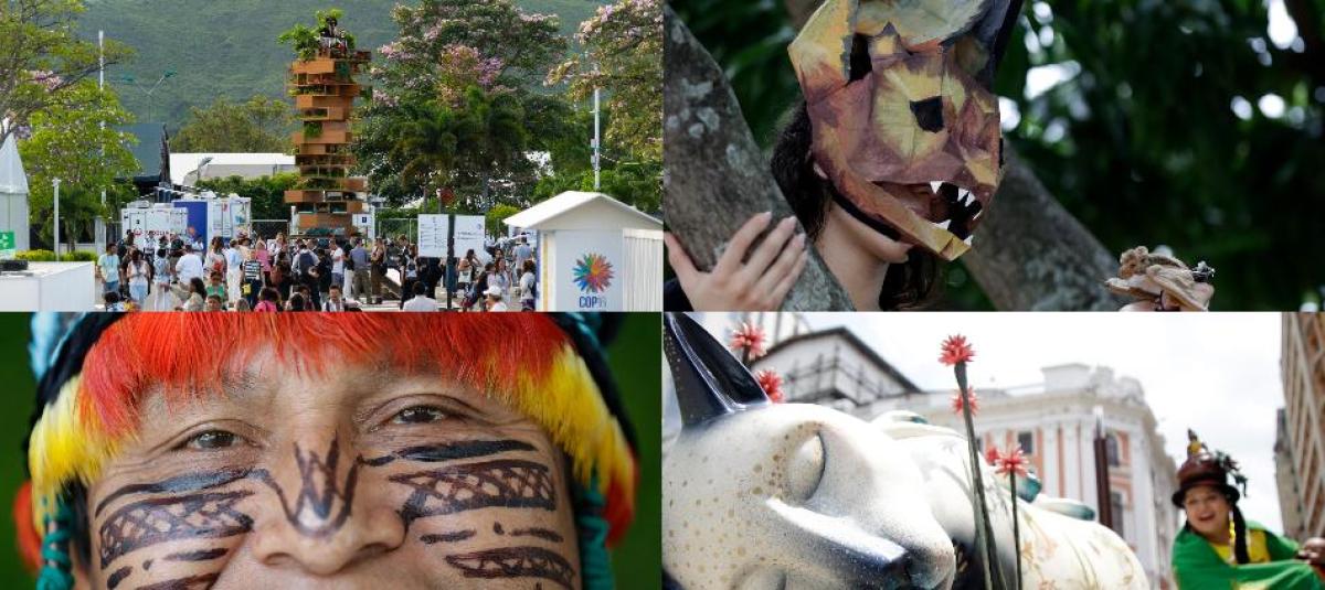 Programación de la COP16 hoy 27 de octubre | Así se vivió el séptimo ...