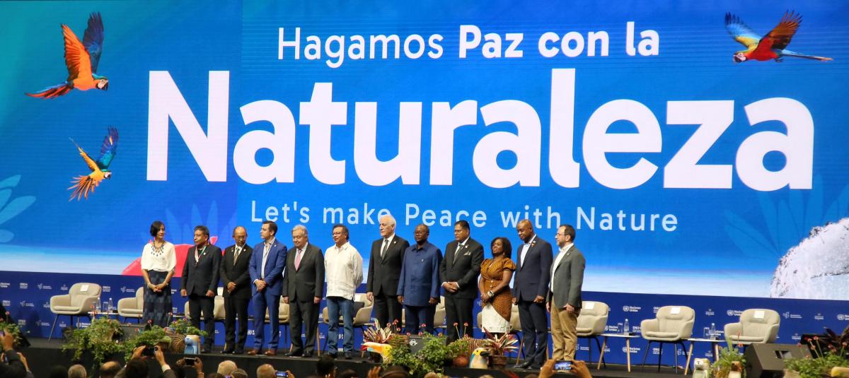 En el inicio del segmento de alto nivel de la COP16, los líderes del ...