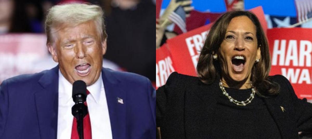 Elecciones en Estados Unidos: ¿en cuáles estados ganó Donald Trump y en ...