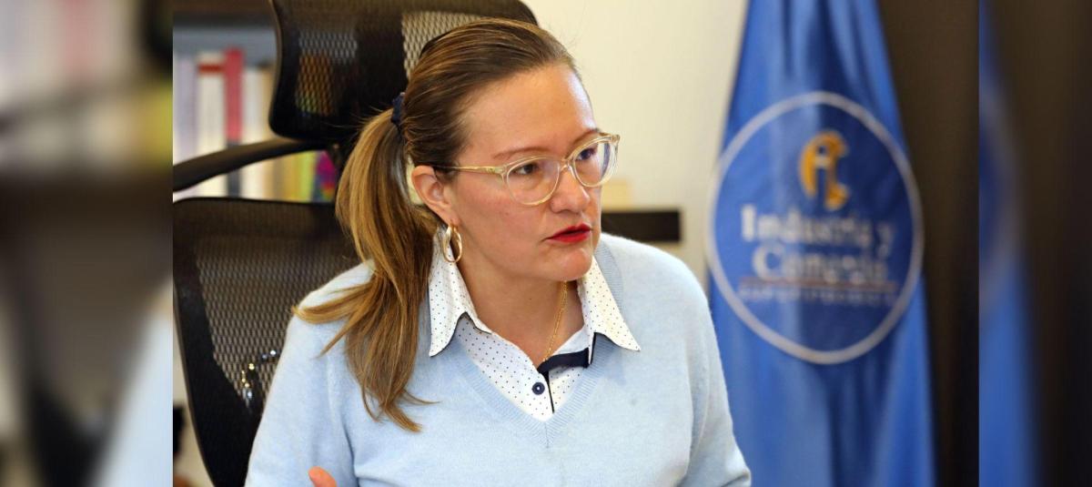 Cielo Rusinque sería la ministra encargada de Comercio, Industria y ...