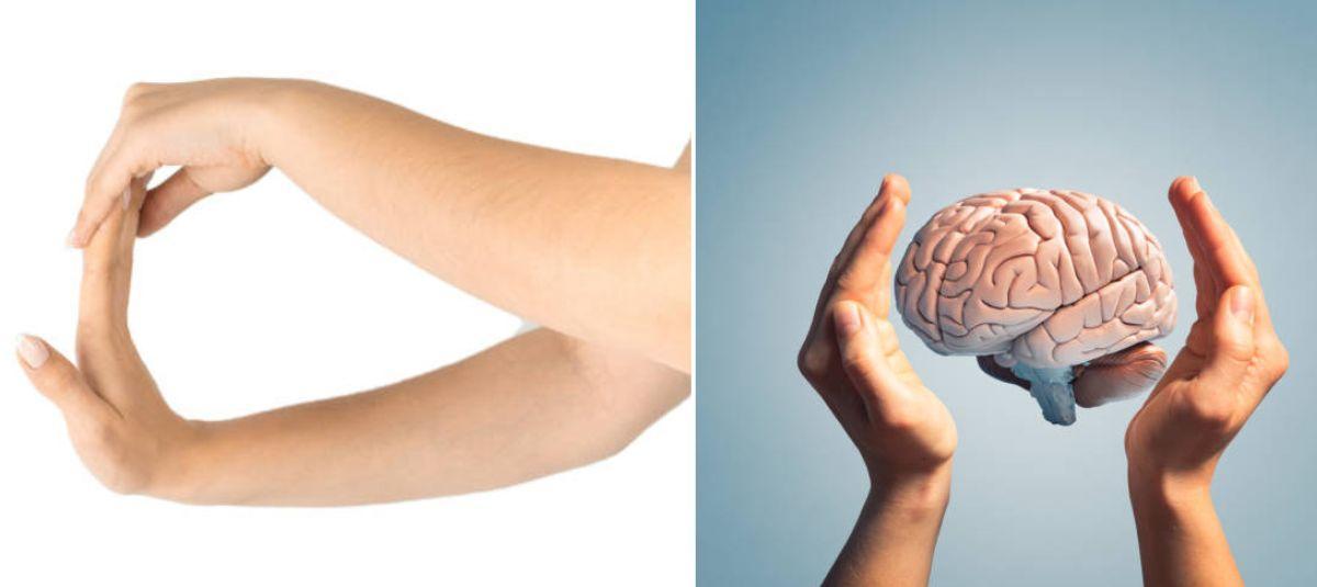 Cinco ejercicios con las manos que activan las neuronas y le ayudan a ...