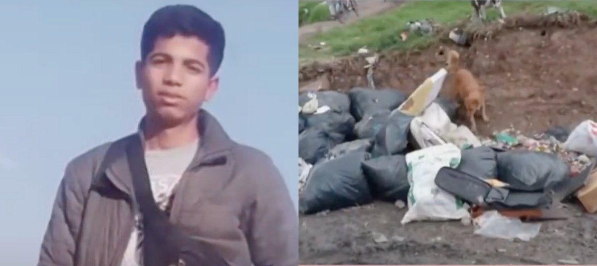 Entre la vida y la muerte: joven sufrió brutal ataque de perros ...