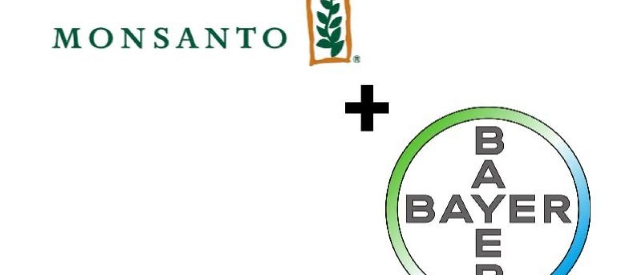 Bayer confirma unión con Monsanto en Colombia