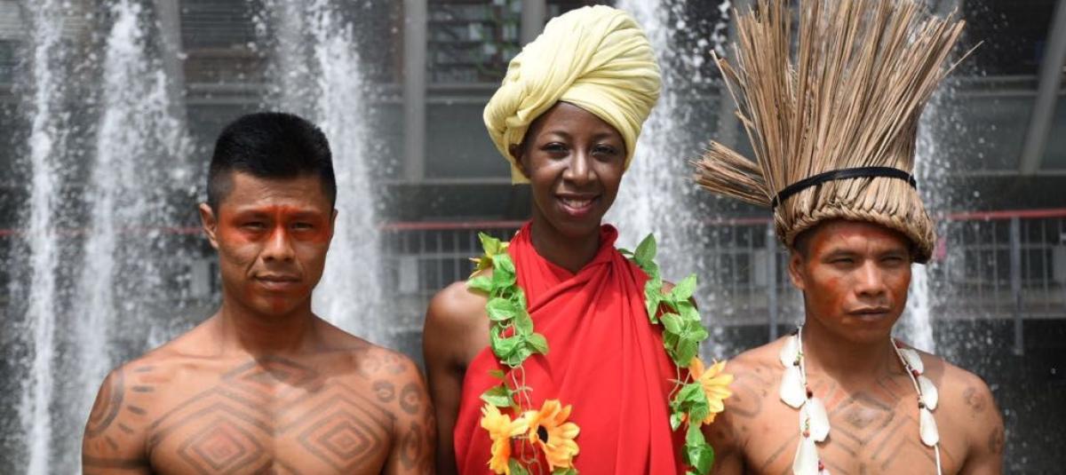 Cuáles son los dos principales grupos raciales de Colombia