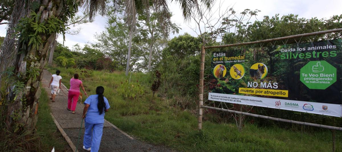 Festival del Guatín y reclamo por Zanjón del Burro, en sur de Cali