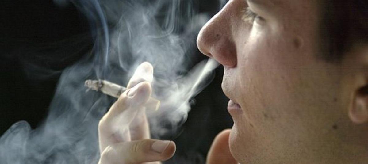 Estas son algunas estrategias en la lucha contra el tabaco