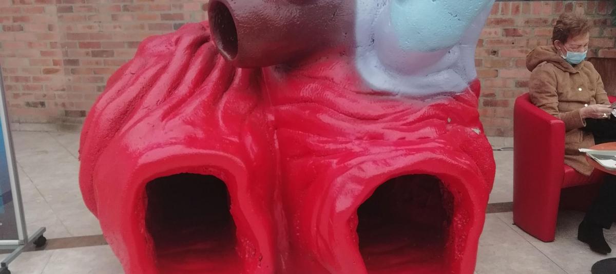 El corazón de una ballena azul captará la atención de los niños en Palatino