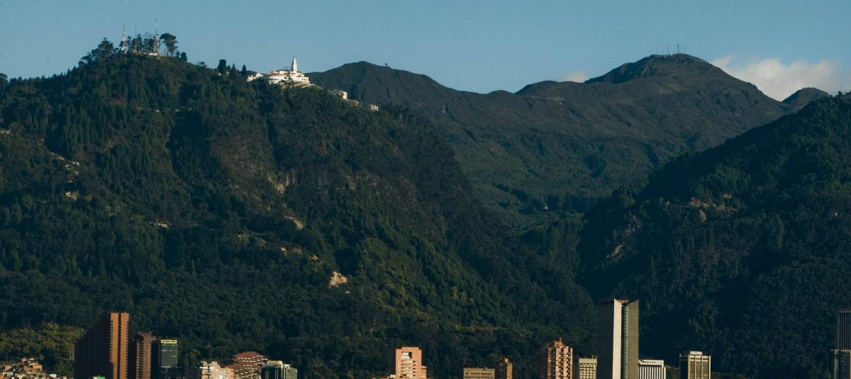 Bogotá se viste de verde: maratón de plantaciones en el Día ...