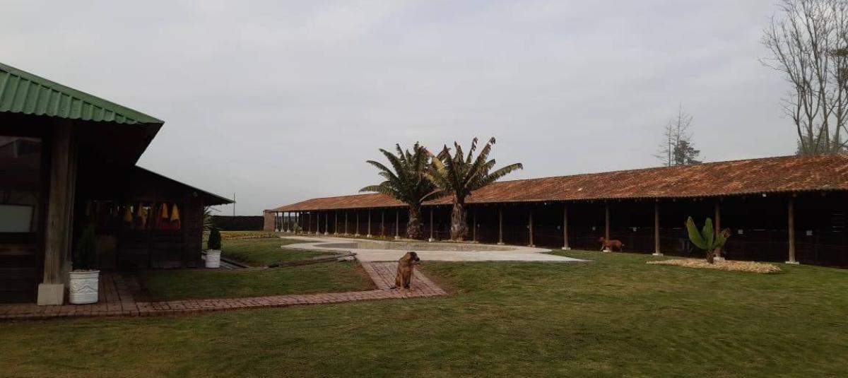 A la cárcel 'Pipe Montoya' excapo del cartel del Norte del Valle
