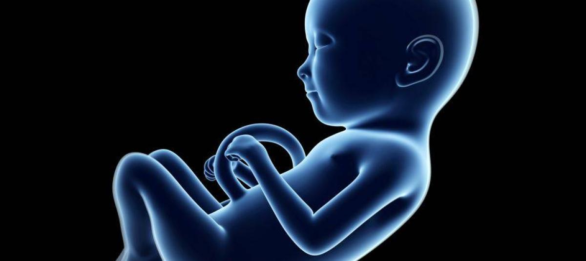 Gestación: salvan vida de feto con rara y mortal enfermedad