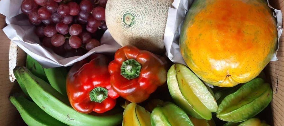 Frutas Y Verduras Con Mayor Contenido De Fibra 13 Alimentos Que Te