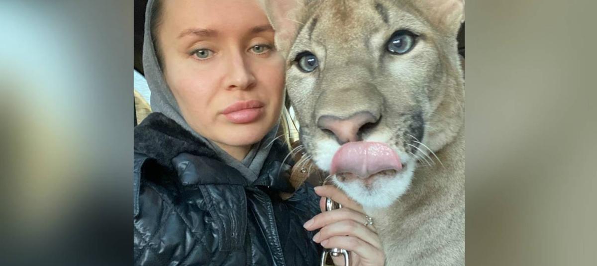Influencer adoptó como mascota a un puma en Rusia | Animal |Mascota|