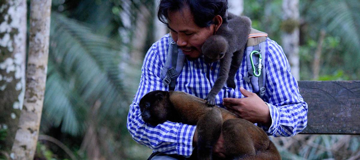 El indígena que protege a los monos huérfanos en la selva amazónica