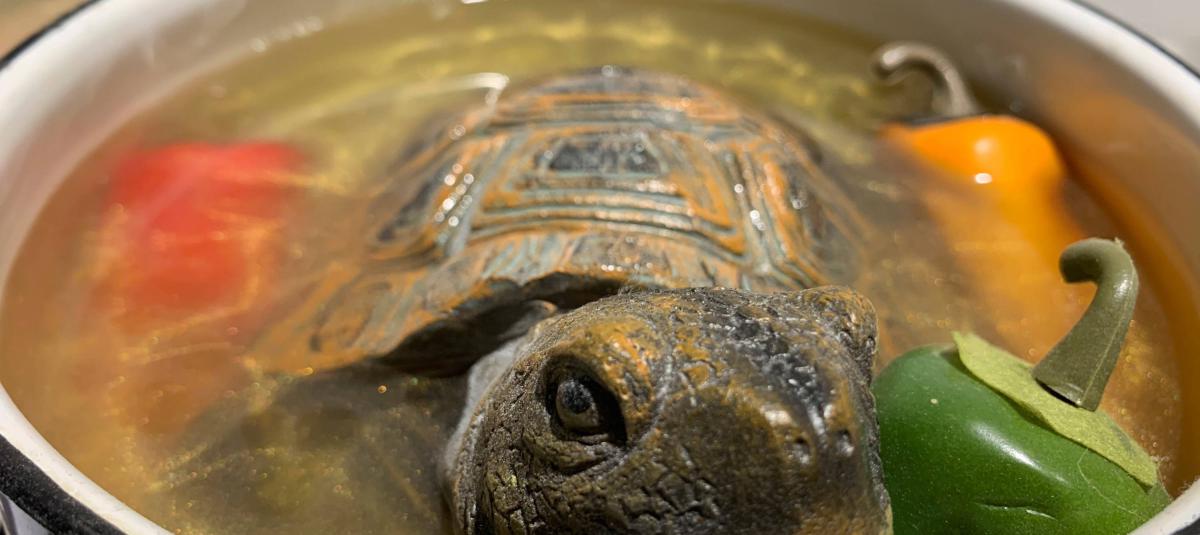 Conozca el museo de la comida más rara y repugnante