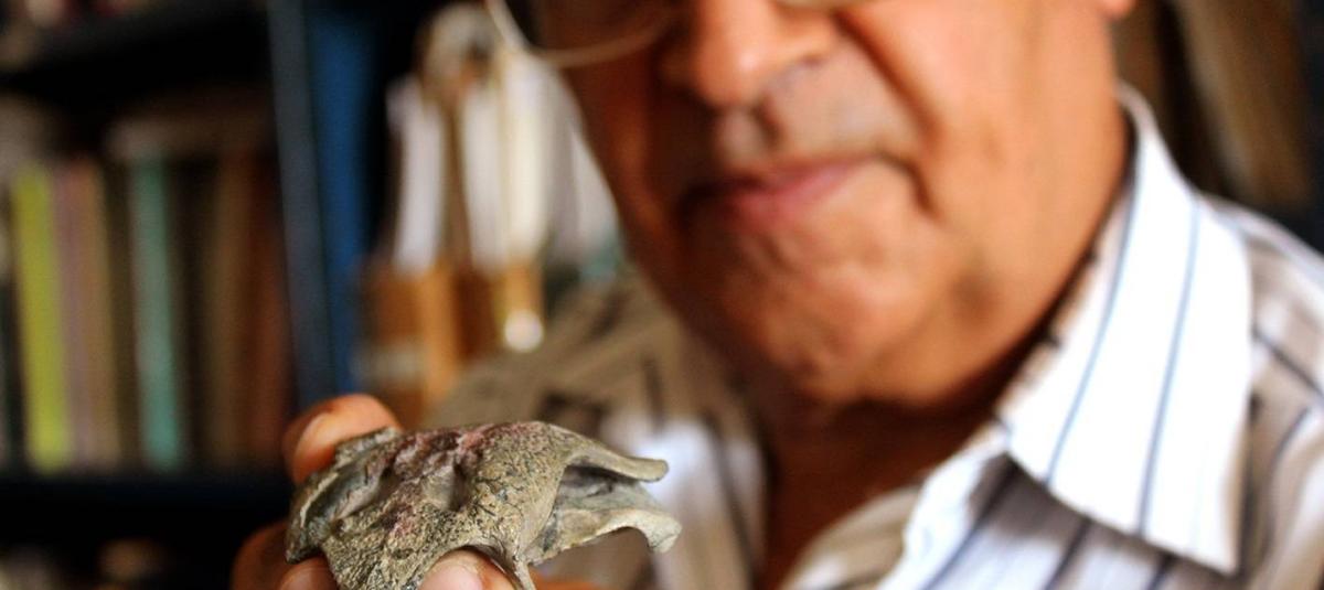 Chile: Hallan en la Patagonia al 'abuelo' de los cocodrilos modernos