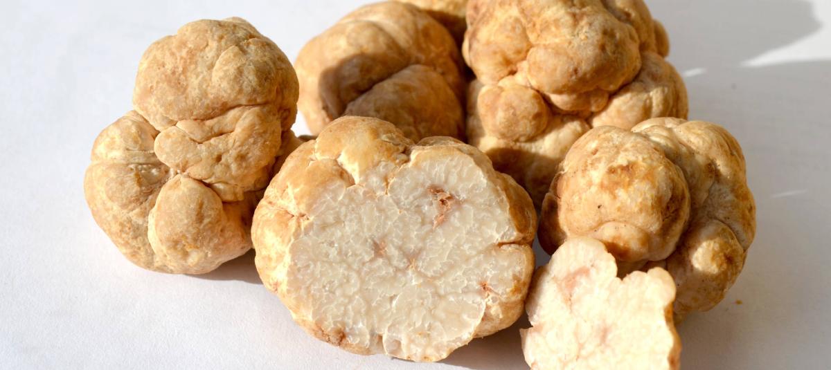 Trufas: ¿dónde se encuentran las trufas?