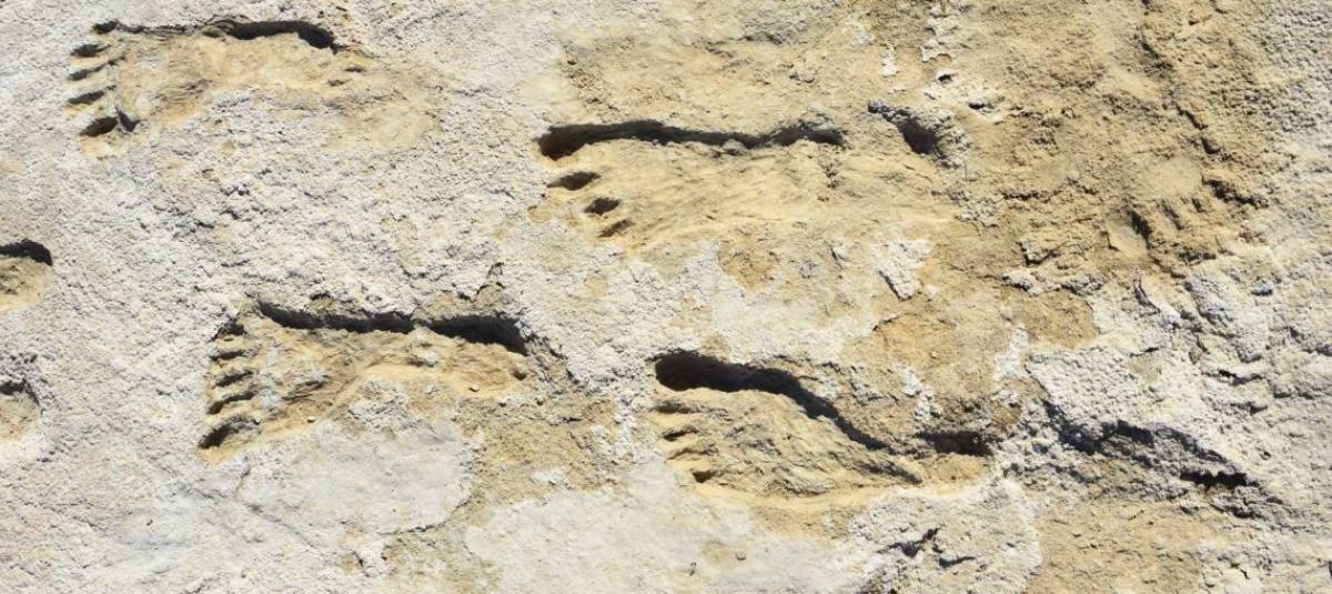 Hoja De Trabajo De La Huella Humana De National Geographic 𝙀𝙡