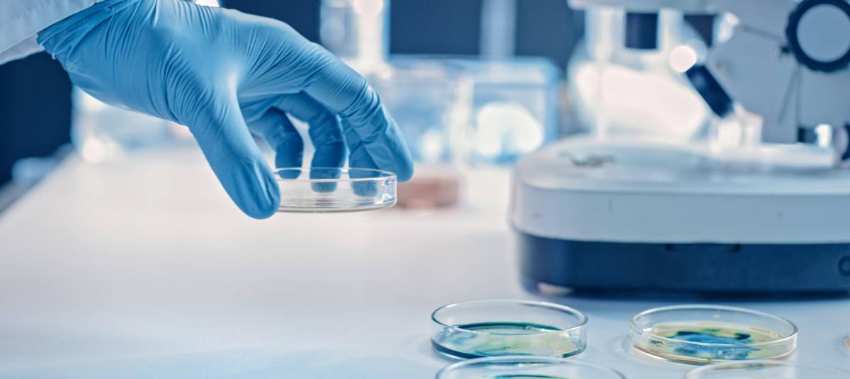 El desafío que representan en la salud las bacterias multiresistentes