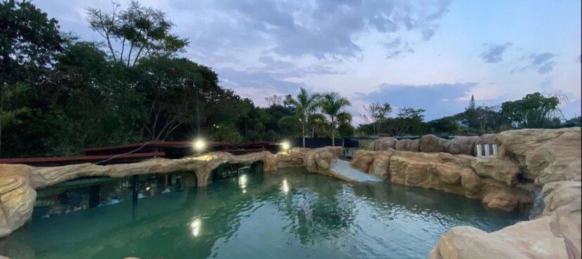 Bioparque Ukumarí tiene nuevos hipopótamos y nueva hábitat