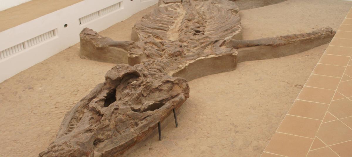 Los cuatro lugares de Colombia que han sido destacados como patrimonio ...