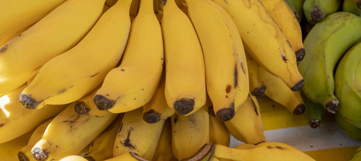 ¿Cómo se le dice al banano en otros países y con qué tipo de comidas lo ...