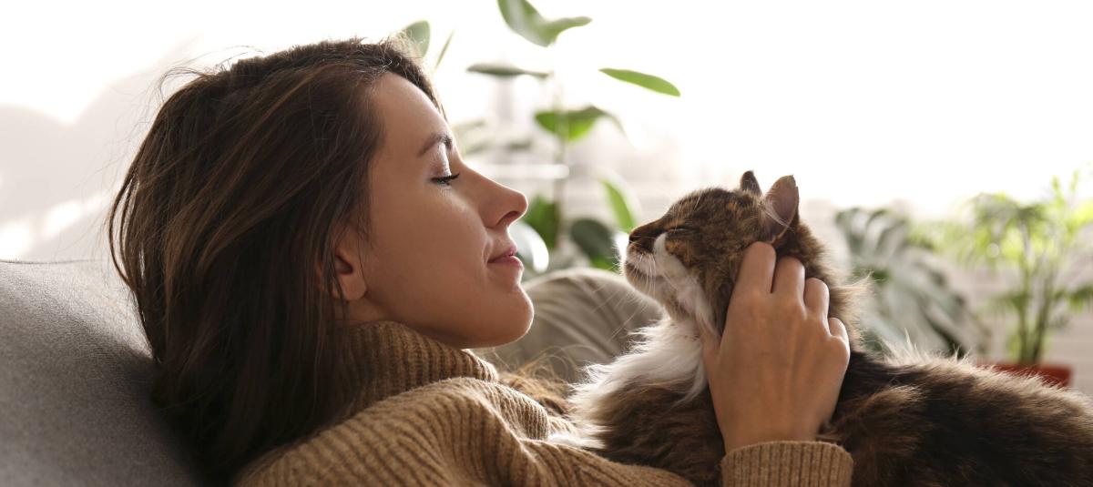 No basta el 'Gatito, gatito': esta es la mejor forma de comunicarse con ...