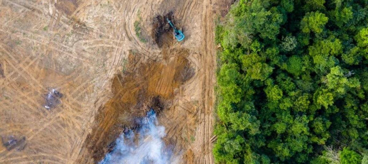Día de la Tierra: la crisis climática y cómo podemos combatirla