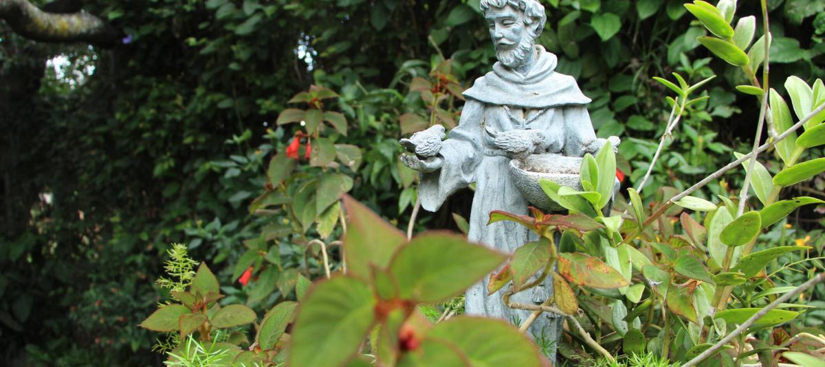 San Francisco de Asís: su vida, obra y oraciones poderosas en este 4 de ...