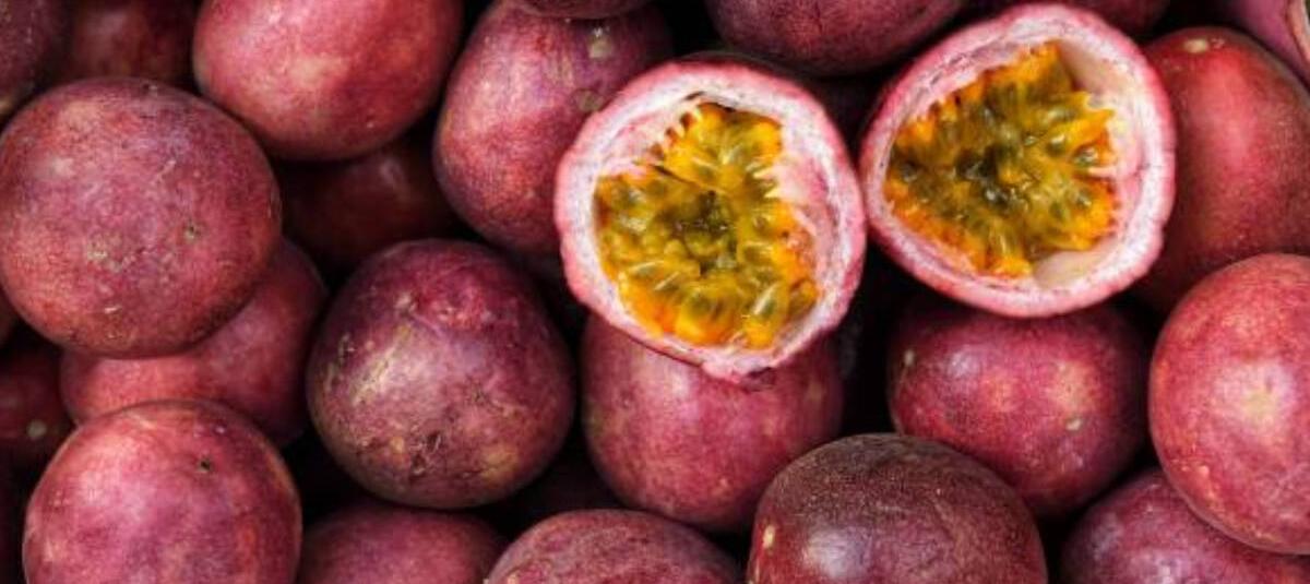 ¿Cuál es la diferencia entre gulupa y maracuyá?