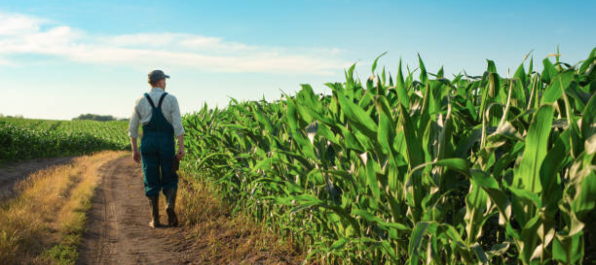 Finca autosostenible: tenga en cuenta estos principios y características