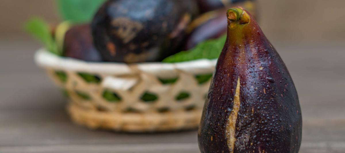 ¿Cuál es la diferencia entre la breva y el higo?