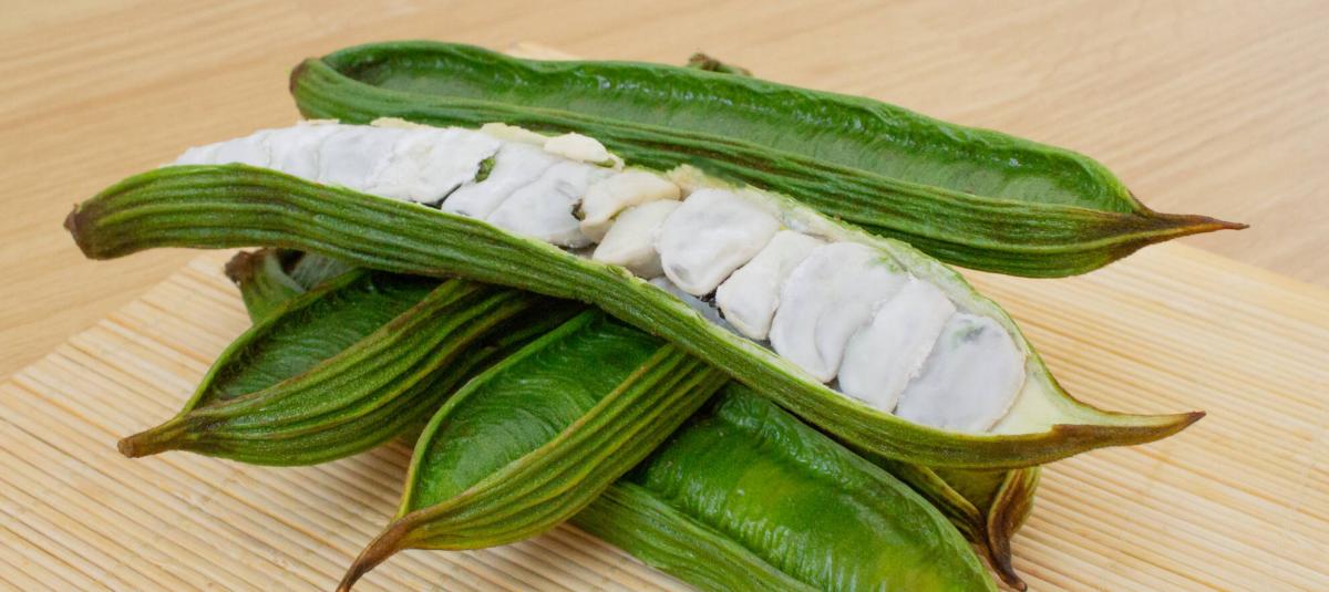 Guama: ¿Qué beneficios tiene la guama?