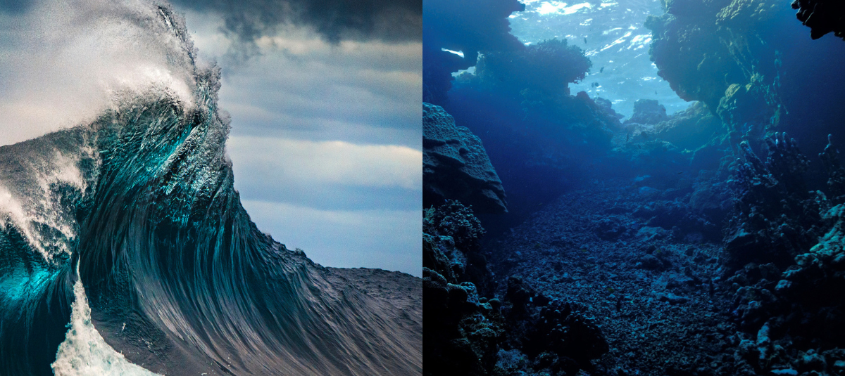 Océano: ¿cuáles son los 5 océanos del mundo?