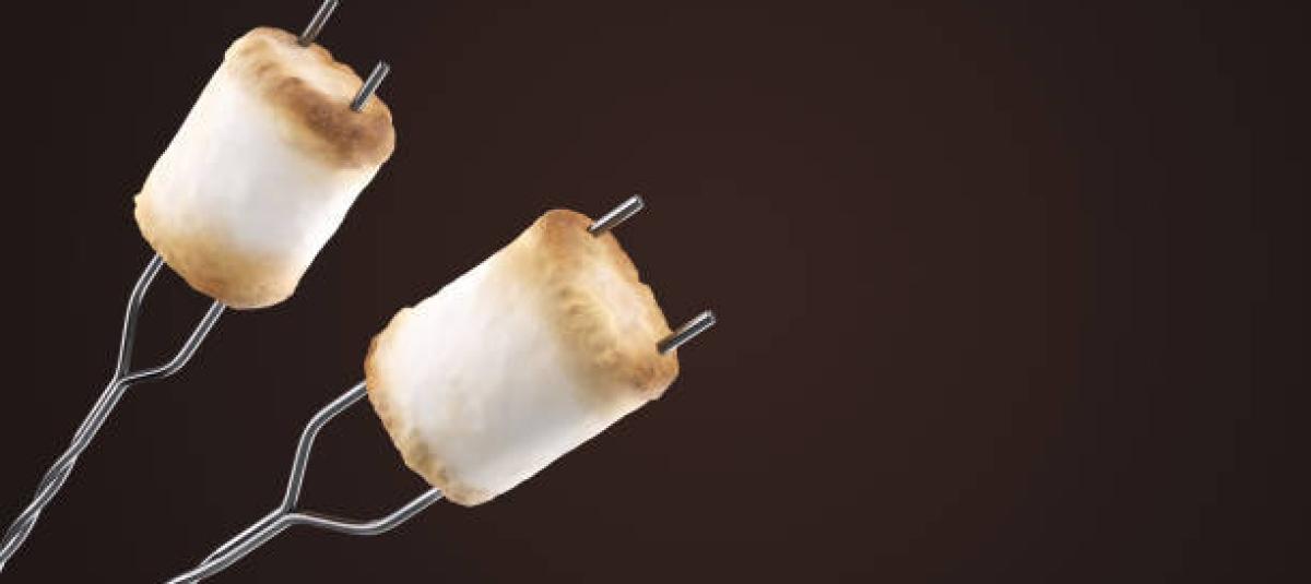 Masmelos: ¿Cómo Se llaman alrededor del mundo?